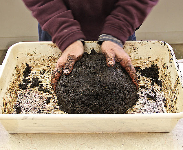 Muck Recipes – Mohawk Hudson Bonsai Society