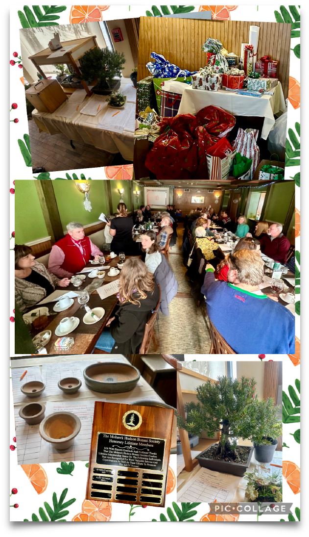 Happy New Year / Holiday Party Recap – Mohawk Hudson Bonsai Society